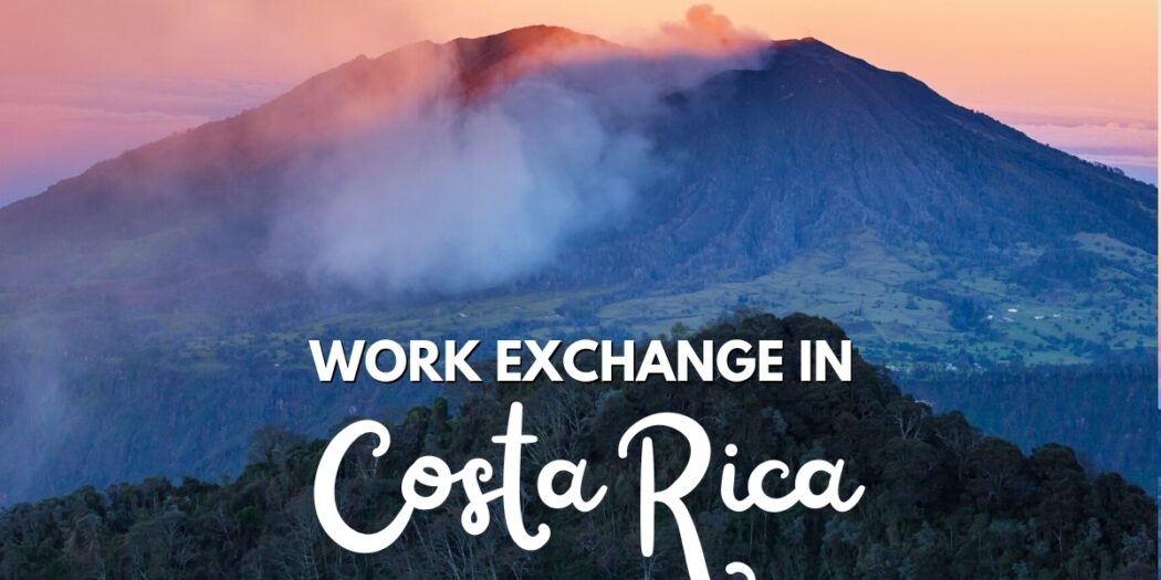 Help this hostel during a work exchange in Costa Rica.