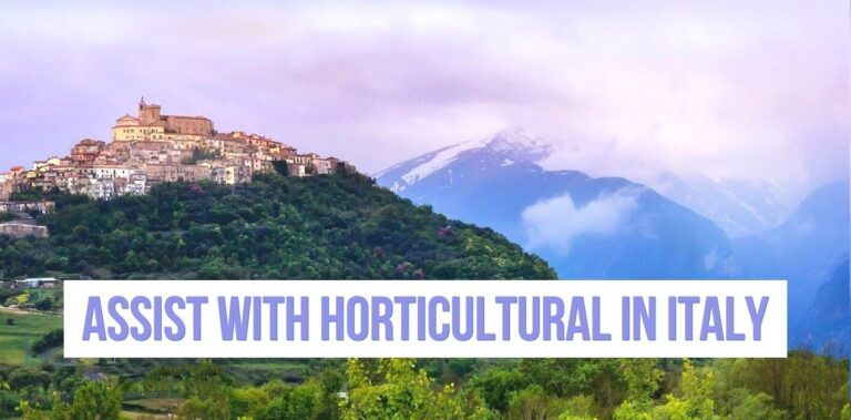 Volunteer in Italy for FREE | Exchange Your Skills For Accommodation
